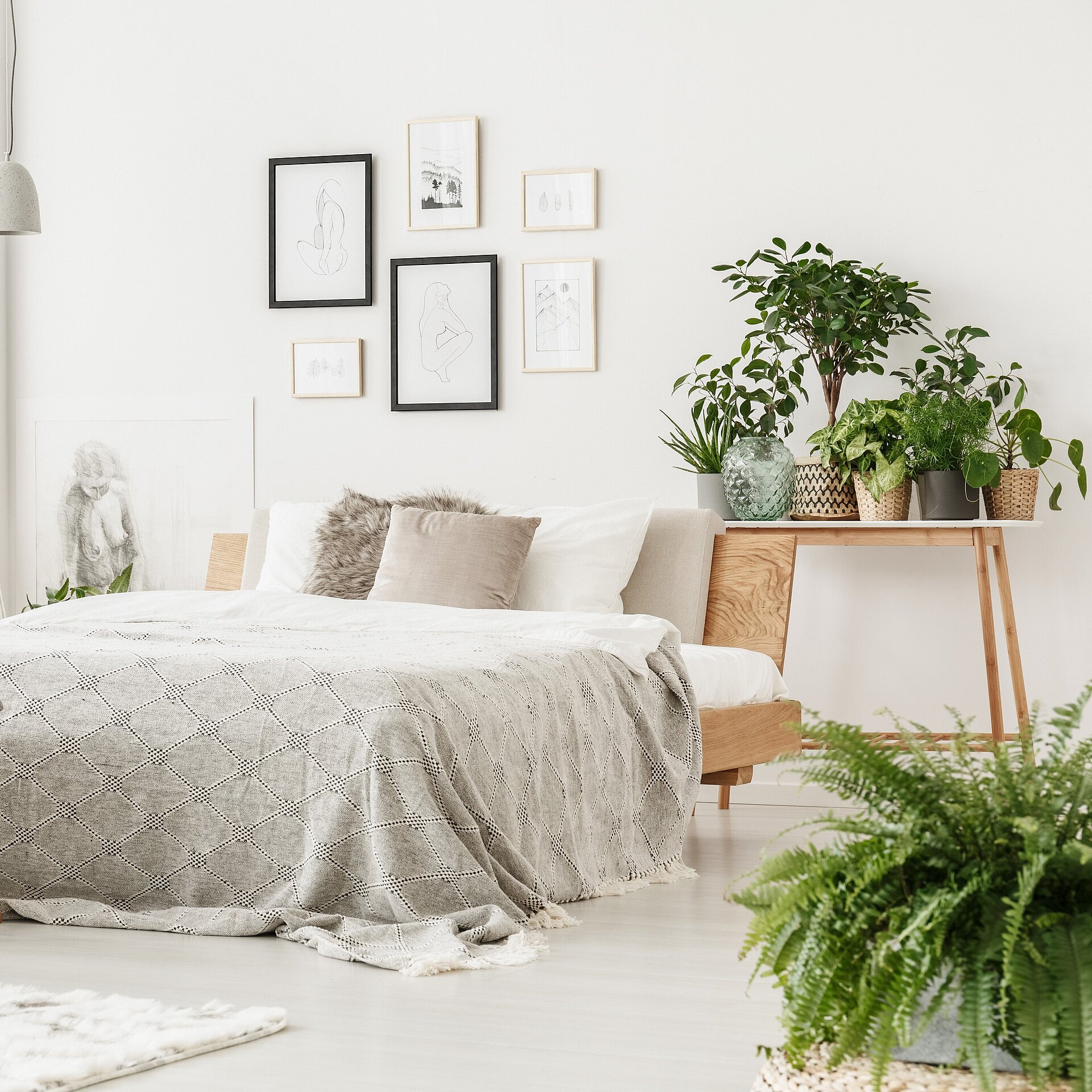 Systeem D koeling | huis koelen met ventilatie | Zehnder | Zehnder Group Belgium nv/sa